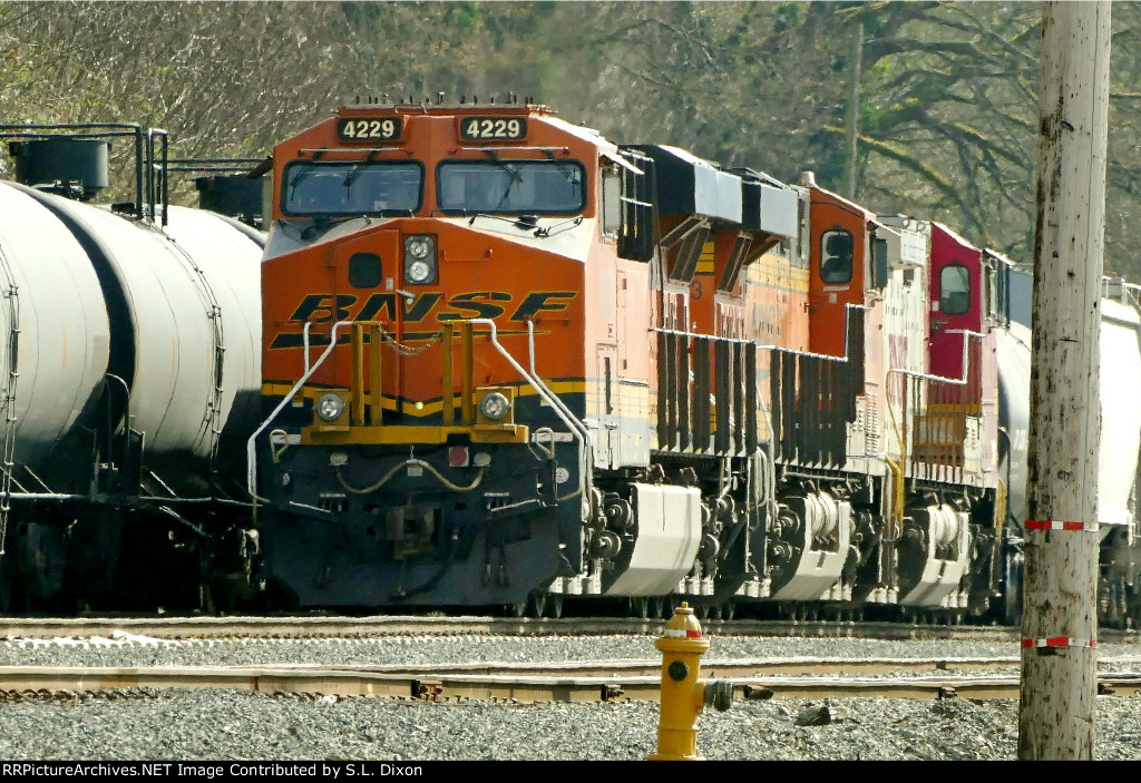 BNSF 4229 North at Bayside